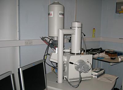 Scanning Electron Microscopy | Biomedical Imaging Unit | University of Southampton